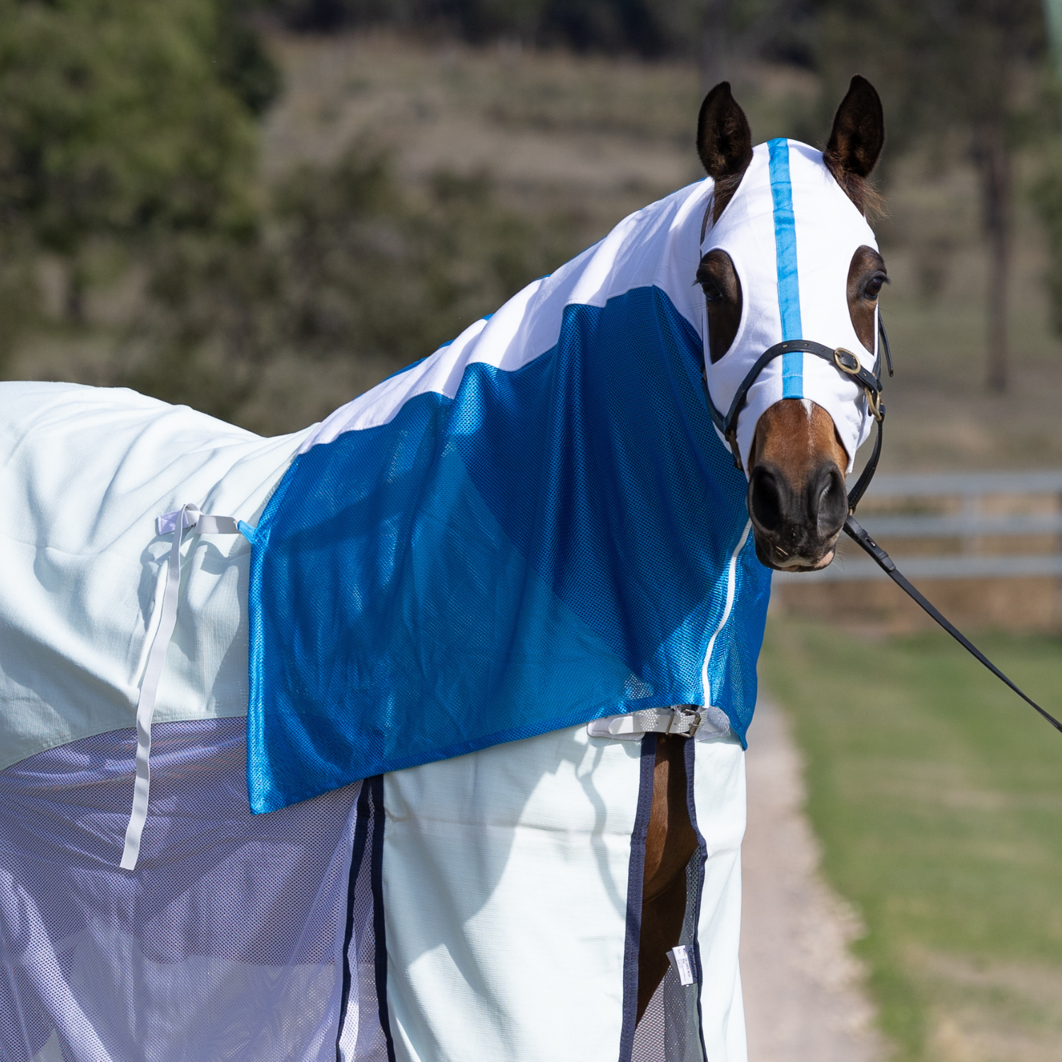 Mesh Hoods – Earlwood Equine