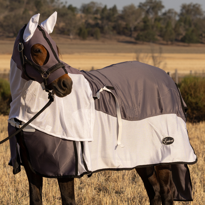 Earlwood Brolga MESH Hood – Earlwood Equine