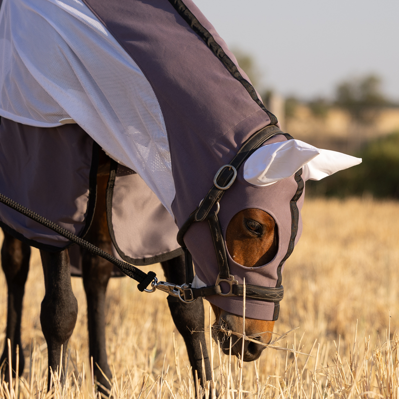 Earlwood Brolga MESH Hood – Earlwood Equine