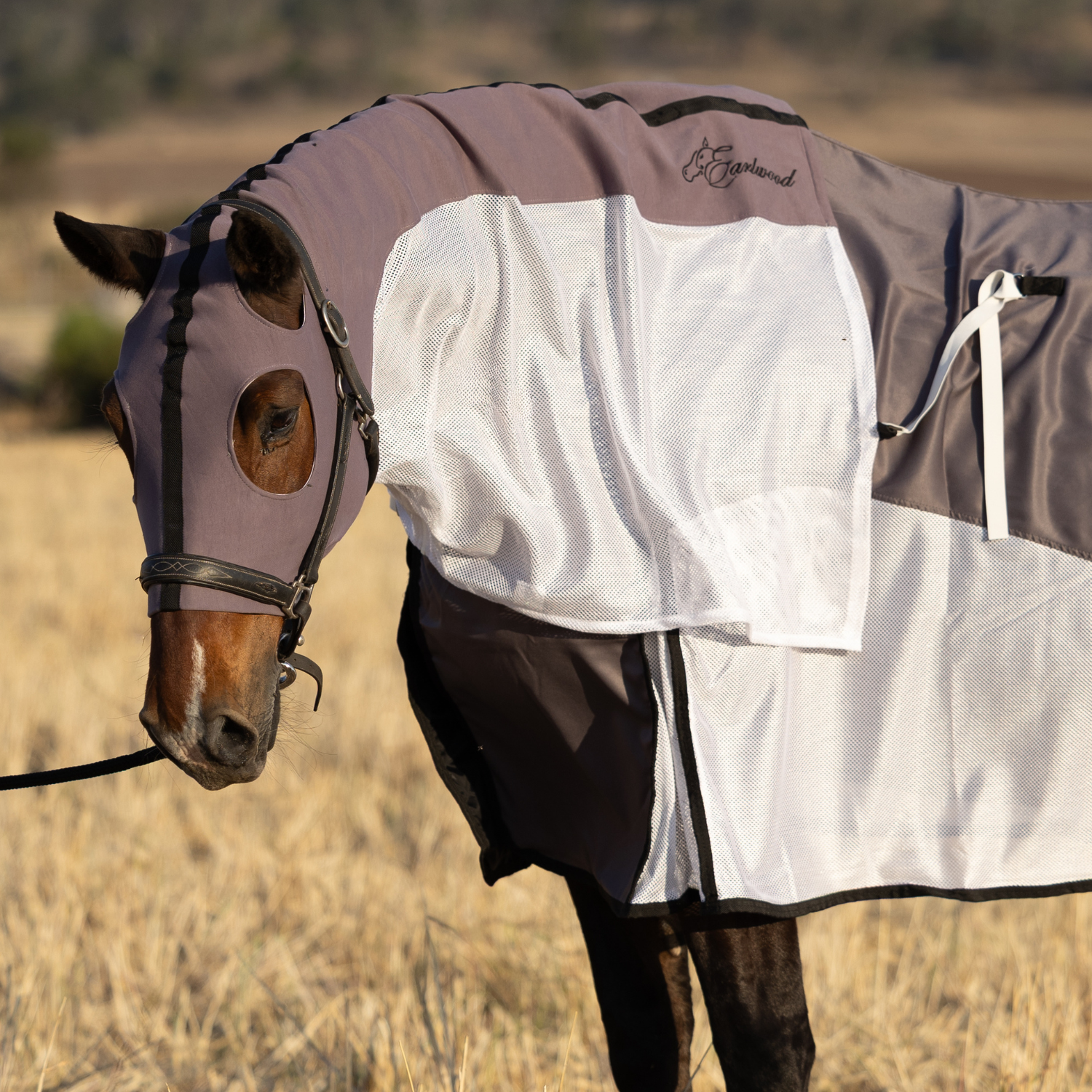 Earlwood Brolga MESH Hood – Earlwood Equine