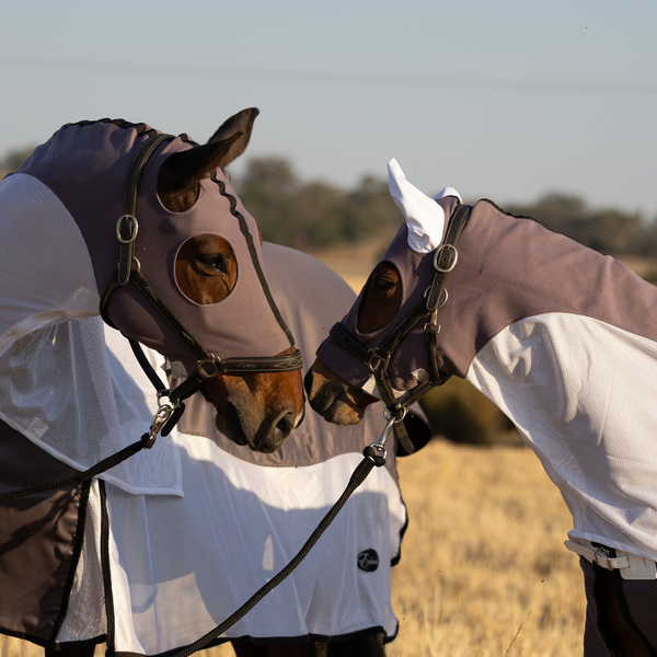 Earlwood Brolga MESH Hood – Earlwood Equine