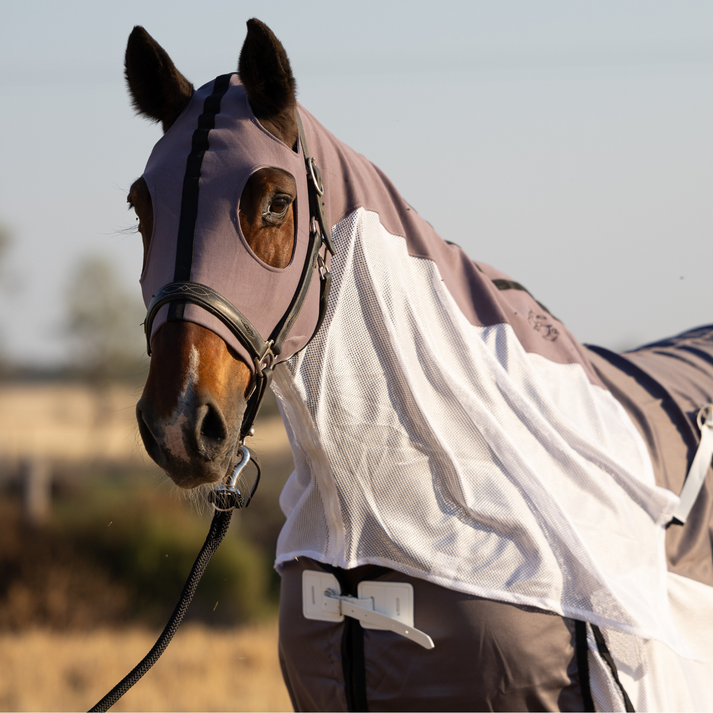 Earlwood Brolga MESH Hood – Earlwood Equine