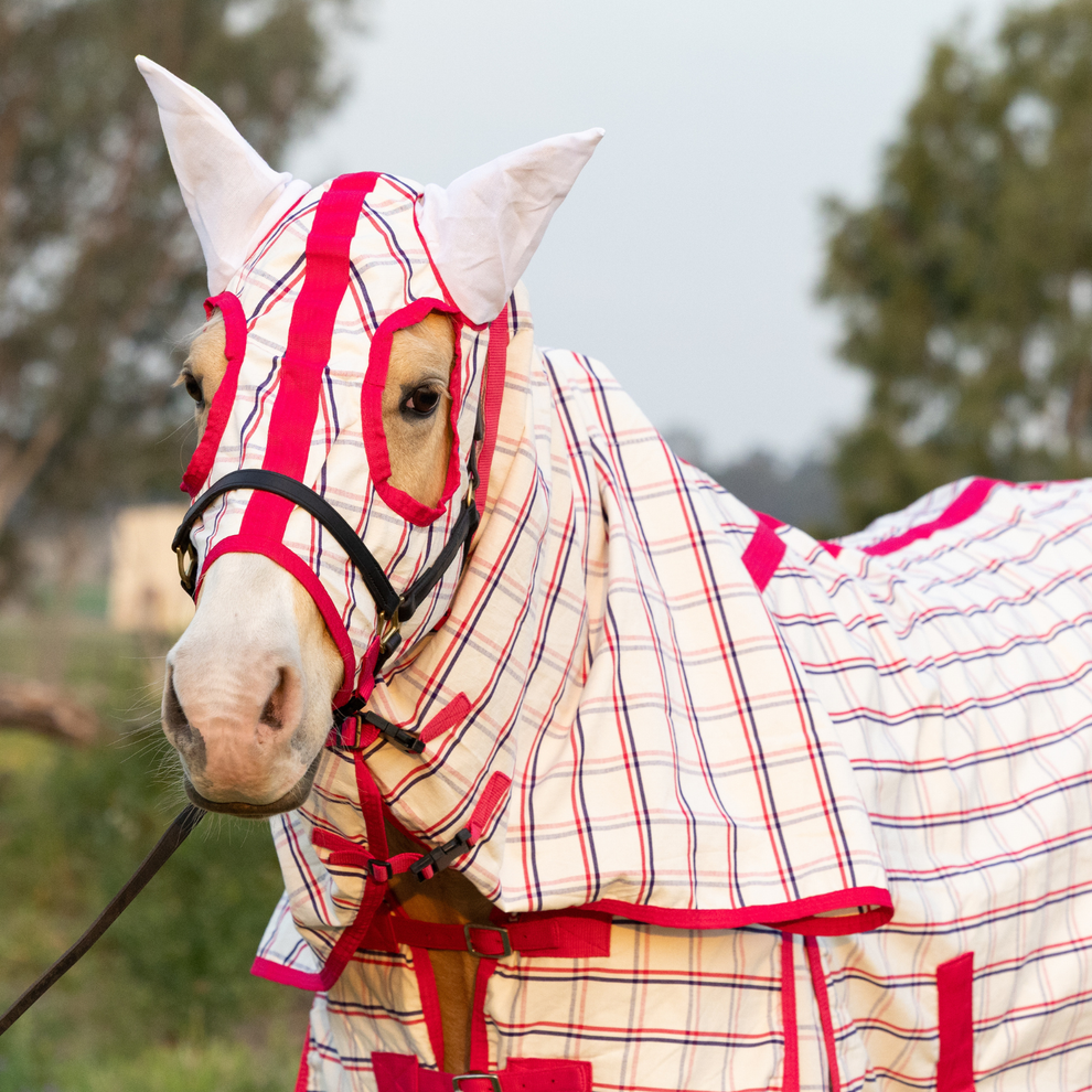 Earlwood Ripstop Hood Combo with Flag Ears – Earlwood Equine