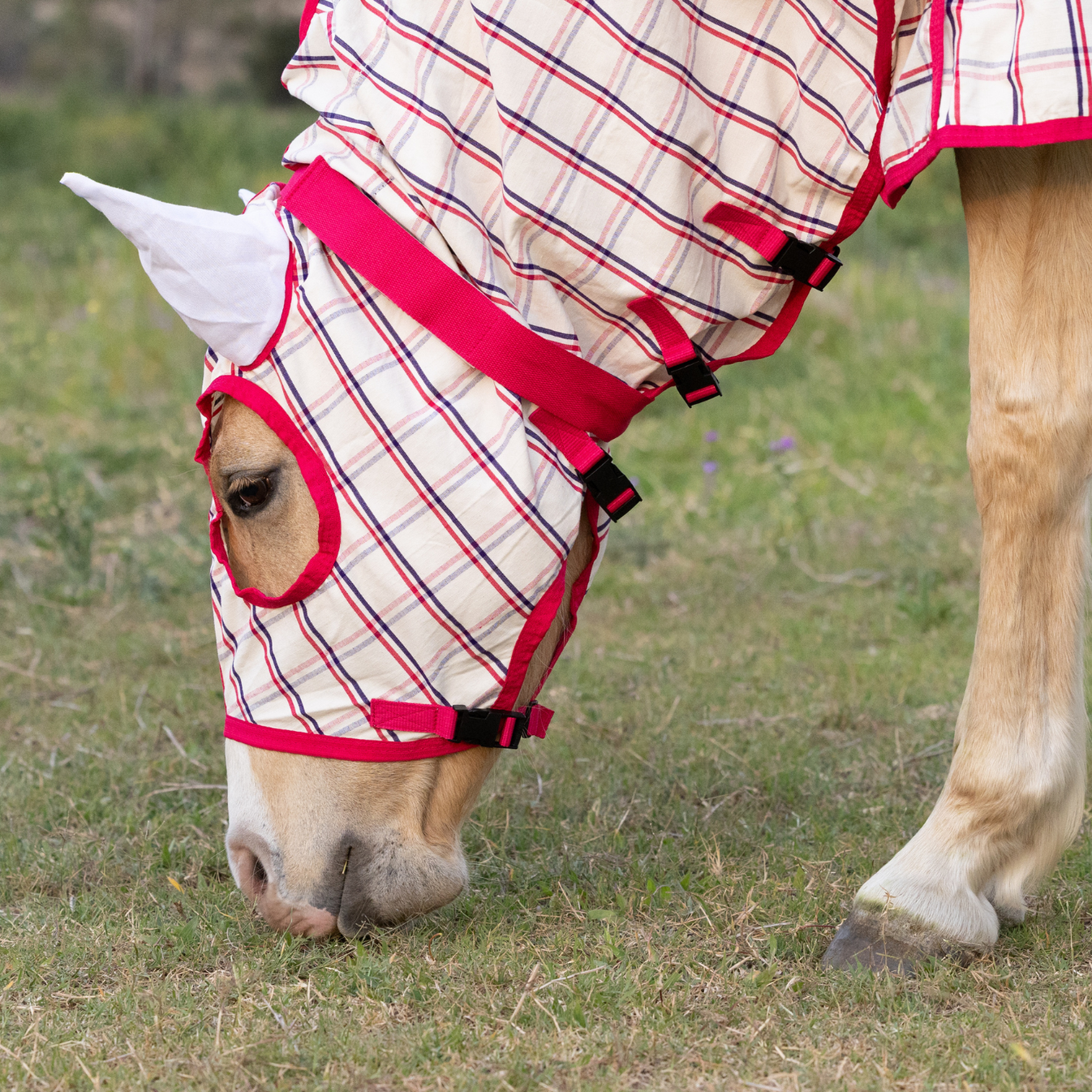 Earlwood Ripstop Hood Combo with Flag Ears – Earlwood Equine
