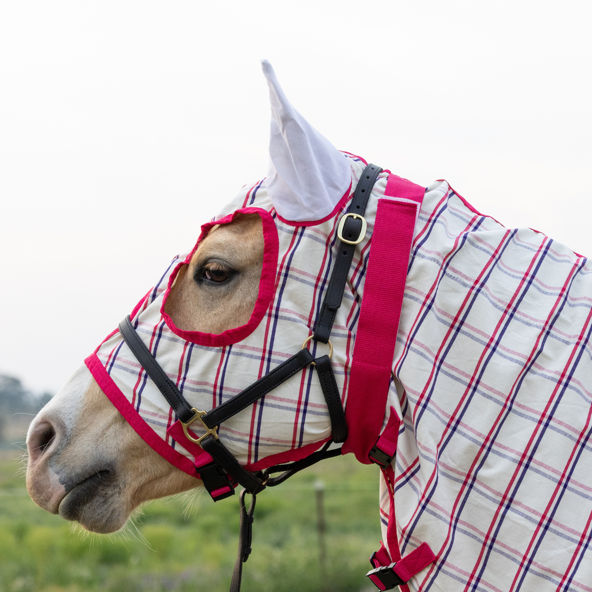 Earlwood Ripstop Hood Combo with Flag Ears – Earlwood Equine