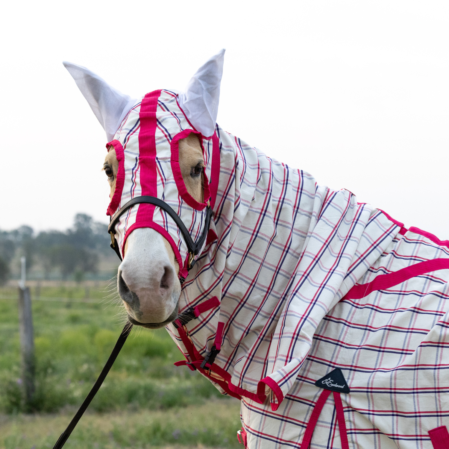 Earlwood Ripstop Hood Combo with Flag Ears – Earlwood Equine