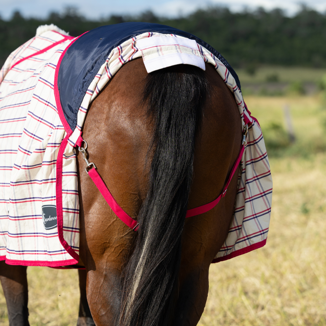 Earlwood Ripstop Hood Combo with Flag Ears – Earlwood Equine