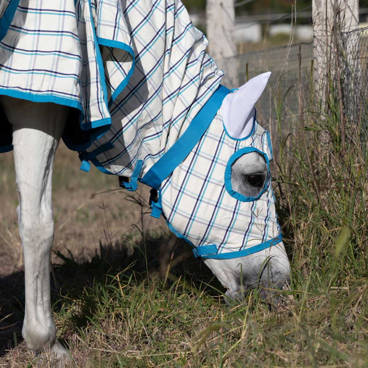 Earlwood Ripstop Hood Combo with Flag Ears – Earlwood Equine