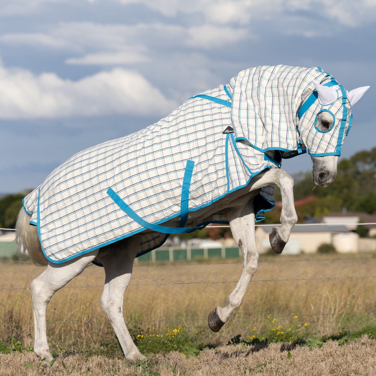 Earlwood Ripstop Hood Combo with Flag Ears – Earlwood Equine