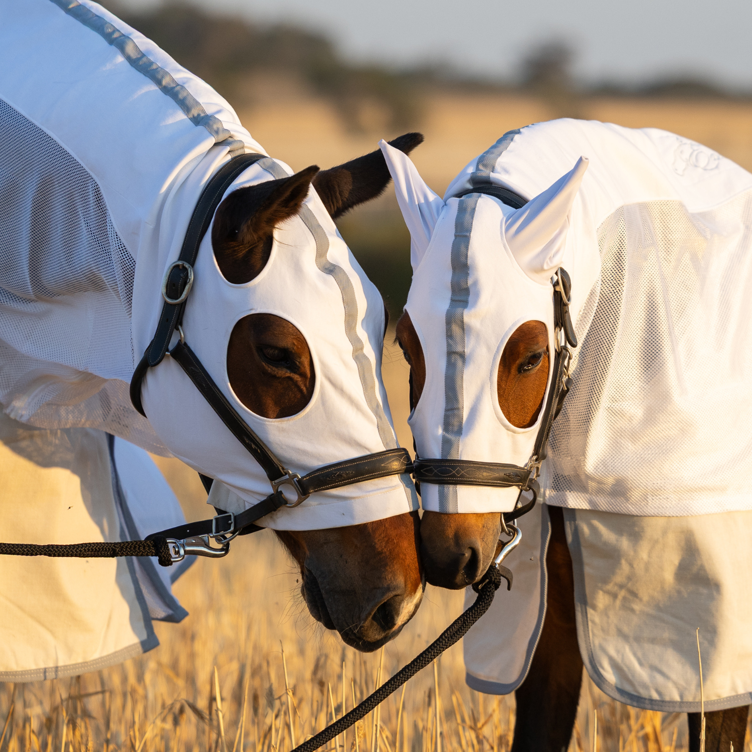 Earlwood Seagull MESH Hood – Earlwood Equine