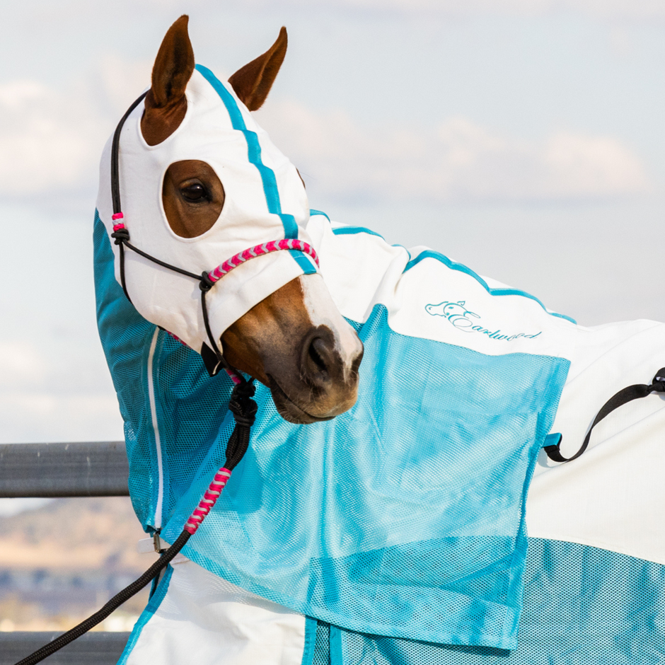 Mesh Hoods – Earlwood Equine