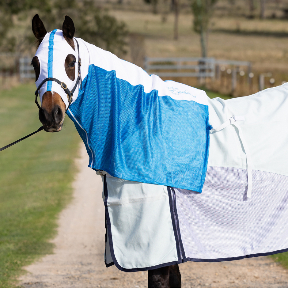 Mesh Rug & Hood Sets – Earlwood Equine